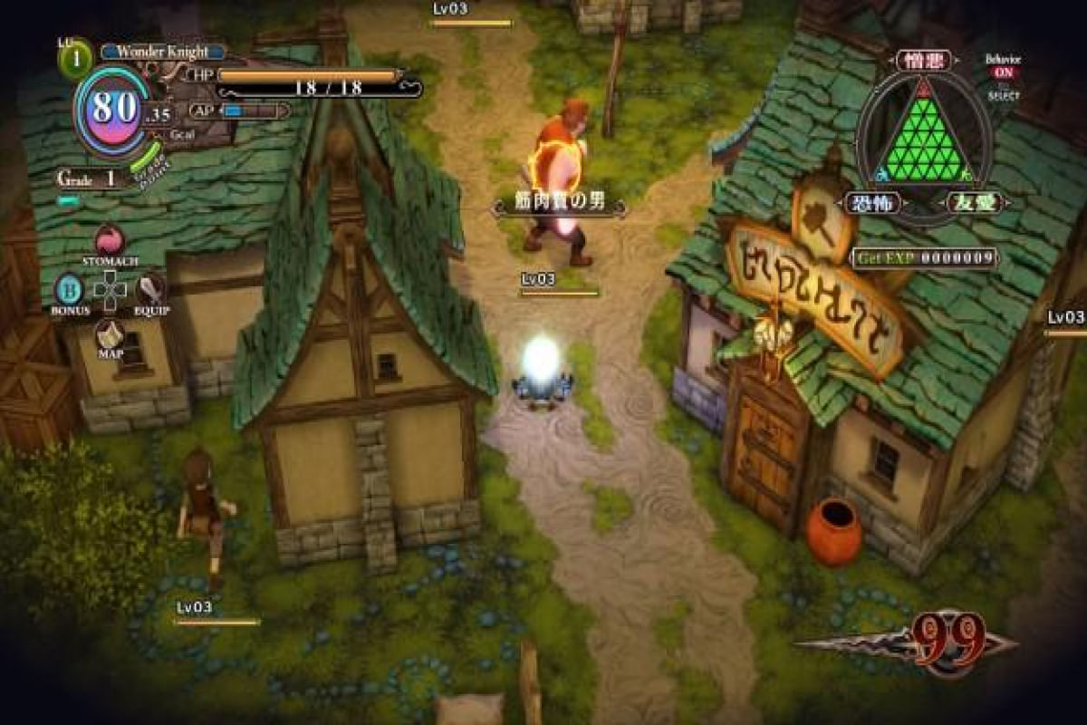 The witch and the hundred knight ps3 store