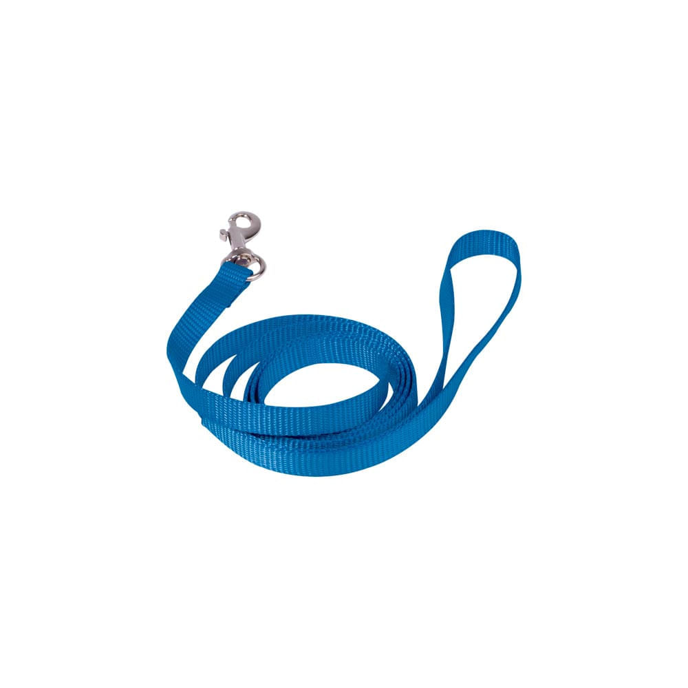 Guia PP Azul - Ri Happy