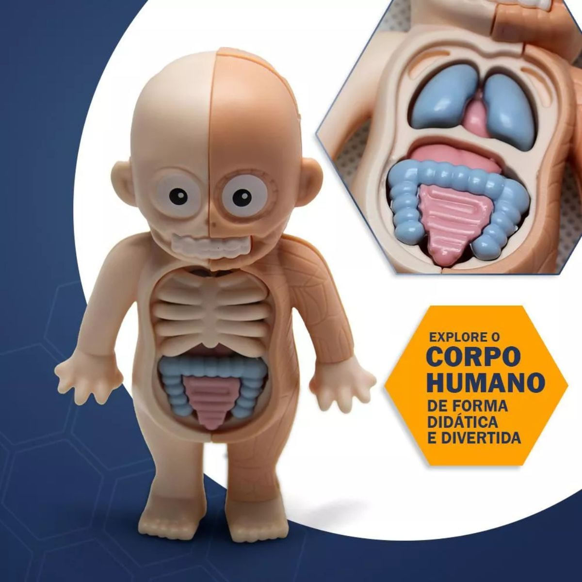 Kit Anatomia Humana Toyng 052612 - Ri Happy